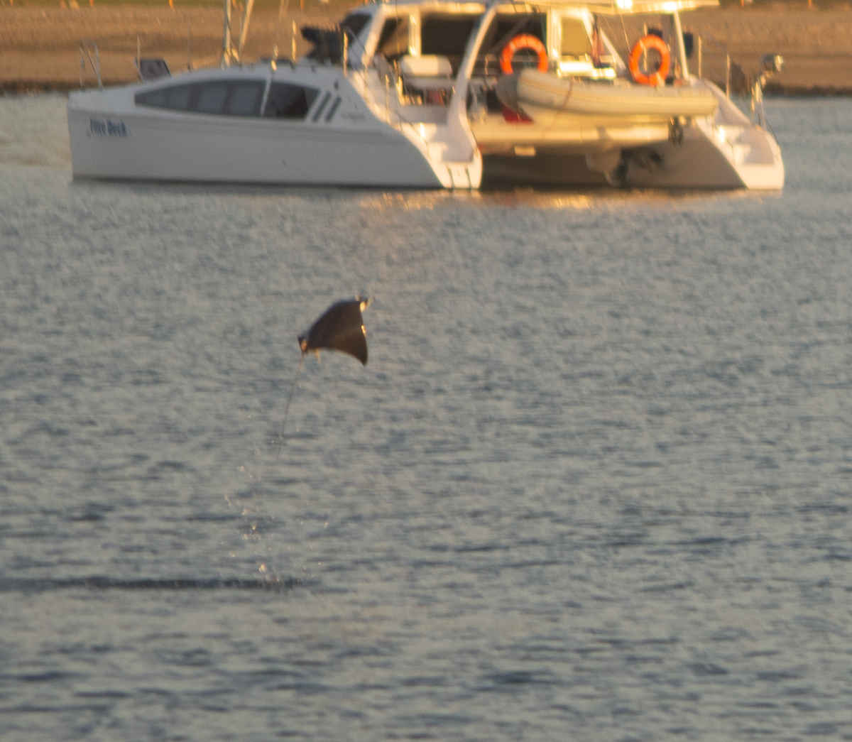 La Cruz – GypsyKramer