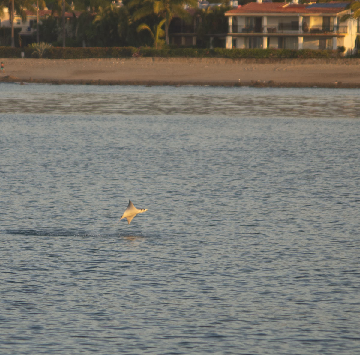 La Cruz – GypsyKramer